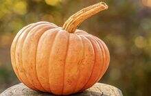 Mengenal Manfaat Biji Labu yang Baik untuk Kesehatan Jantung dan ...