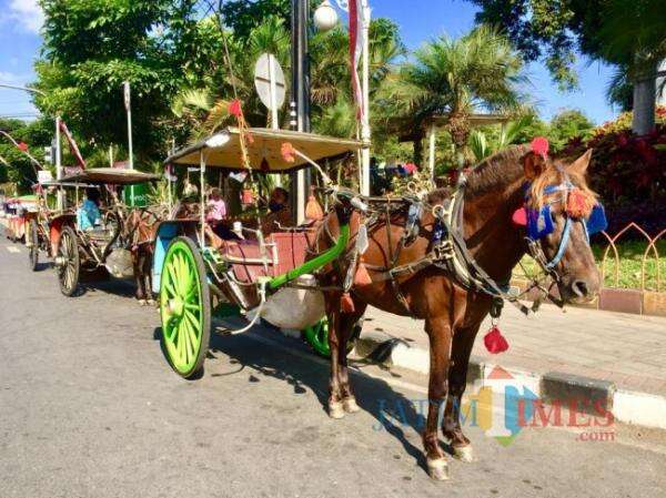 Ada Dokar Gratis di Alun-alun Kota Batu, Catat Jadwalnya - News+ on RCTI+