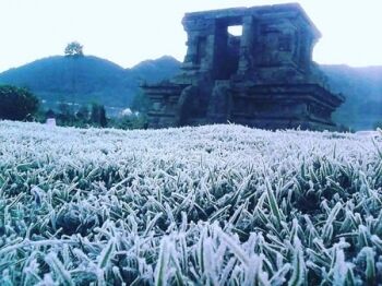 Mengenal Fenomena Embun Upas yang Kerap Muncul di Dieng | News+ on RCTI+