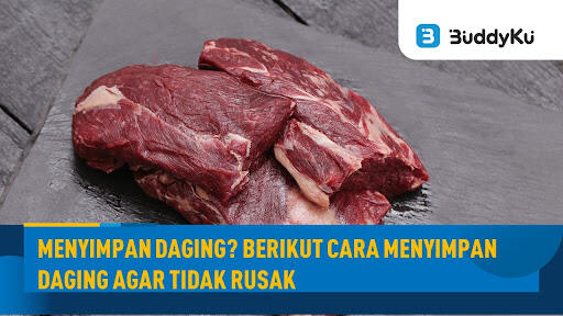 Cara Menyimpan Daging Agar Tidak Rusak | News+ on RCTI+