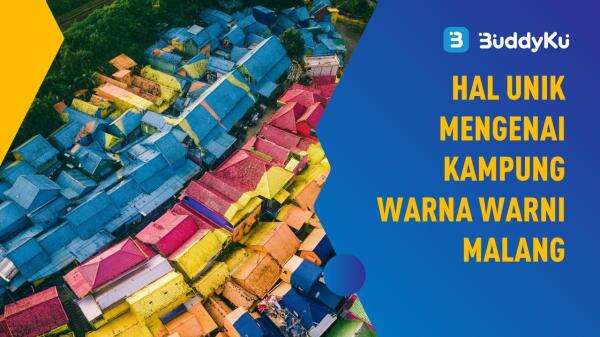 Hal Unik Mengenai Kampung Warna Warni Malang! | News+ on RCTI+