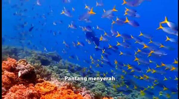 Mars Perindo Versi Terbaru Tunjukkan Keindahan & Keberagaman Indonesia ...