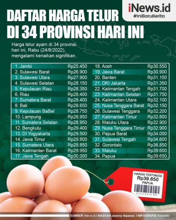 Infografis Daftar Harga Telur di 34 Provinsi Hari Ini | News+ on RCTI+