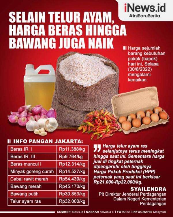 Infografis Selain Telur Ayam, Harga Beras hingga Bawang Juga Naik ...