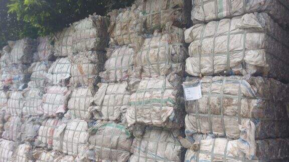 Keren… Begini Upaya Tridi Oasis dan Bank DBS Indonesia Ciptakan ...