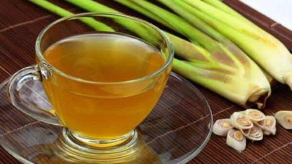 Manfaat Luar Biasa Tanaman Sereh Bagi Kesehatan Tubuh | News+ on RCTI+