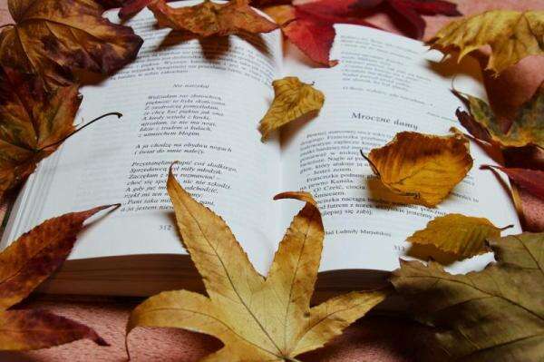 10 Contoh Puisi Naratif Singkat Bahasa Indonesia - News+ on RCTI+