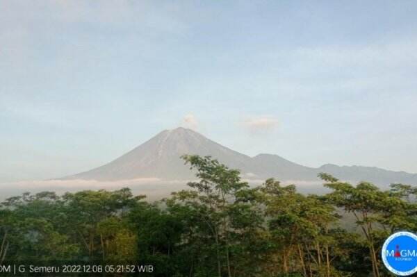 Gunung Semeru Erupsi Lagi Pagi Ini, PVMBG: Tinggi Kolom Letusan Capai ... Gunung Semeru Erupsi Lagi Pagi Ini, PVMBG: Tinggi Kolom Letusan Capai ...