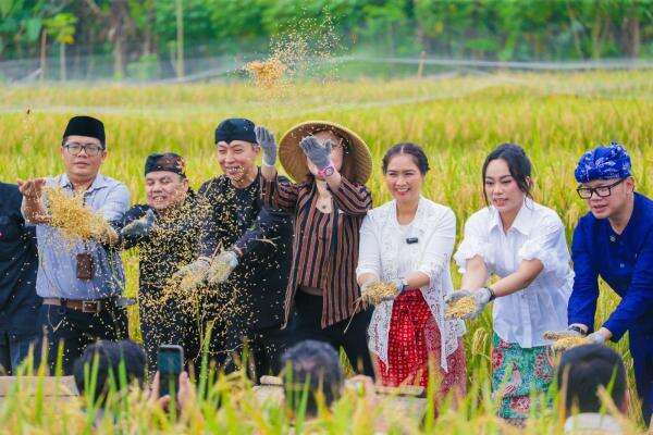 Panen Raya Padi Organik, Wali Kota Bogor Gaungkan Ekowisata dan ...
