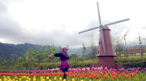 Info Lengkap Rute serta Harga Tiket New Small World di Purwokerto, Jadi ...