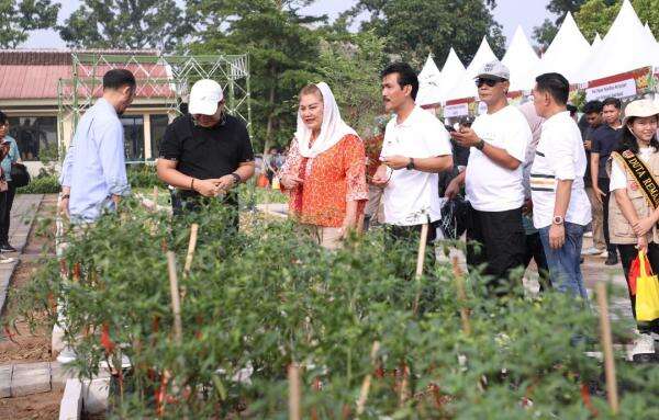 35 Stand Komoditas Pertanian Terpadu Meriahkan Semarang Agro Expo 2024 ...