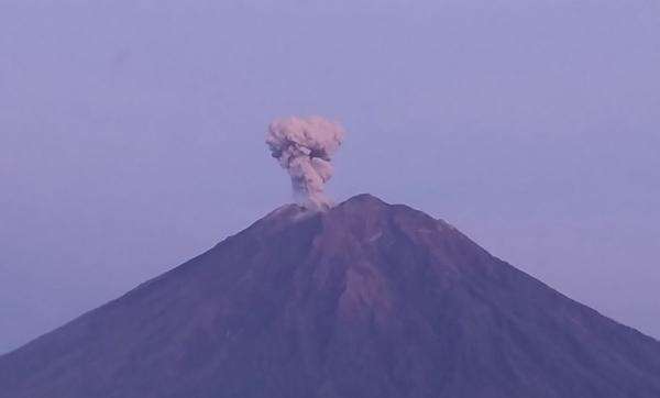 Gunung Semeru Erupsi Pagi Ini, Luncurkan Abu Vulkanik 1.000 Meter - News+ on RCTI+