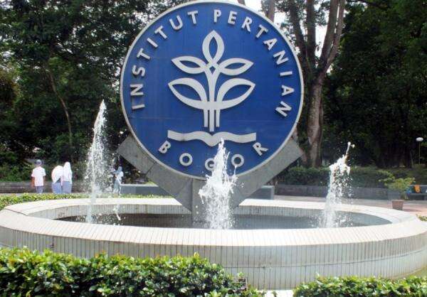 IPB University Buka Kelas Internasional 2024, Ini Link Pendaftaran hingga Syaratnya | News+ on RCTI+