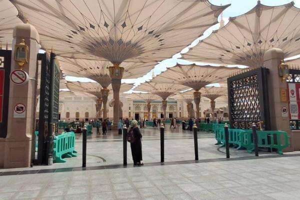 Jemaah Haji Lansia Jangan Paksakan Diri Salat di Masjid Nabawi | News+ on RCTI+
