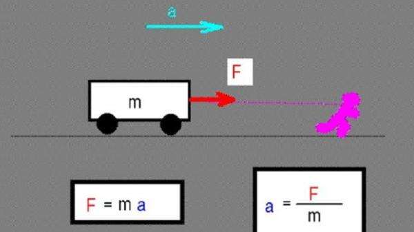 Rumus Fisika Gaya: Penjelasan, Jenis dan Contoh Soal - News+ on RCTI+